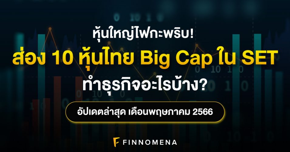 หุ้นใหญ่ไฟกะพริบ! ส่อง 10 หุ้นไทย Big Cap ใน SET ทำธุรกิจอะไรบ้าง? อัปเดตล่าสุด เดือนพฤษภาคม ...